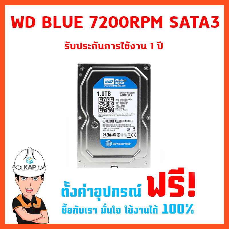 HDD (ฮาร์ดดิสก์) WD BLUE 1 TB - kapnetwork